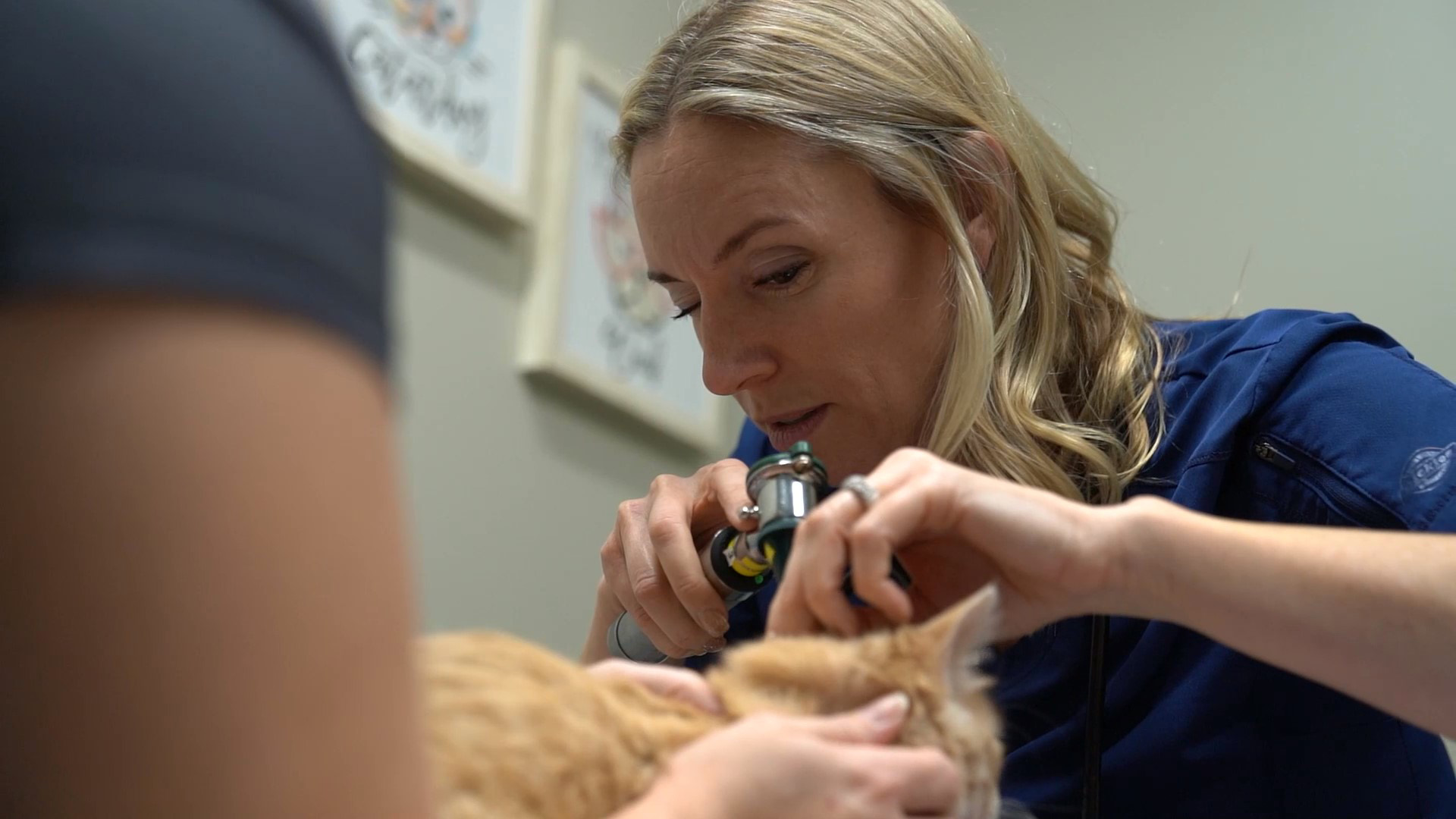 Pet Radiology In Owasso, OK 74055 | Family Animal Medicine